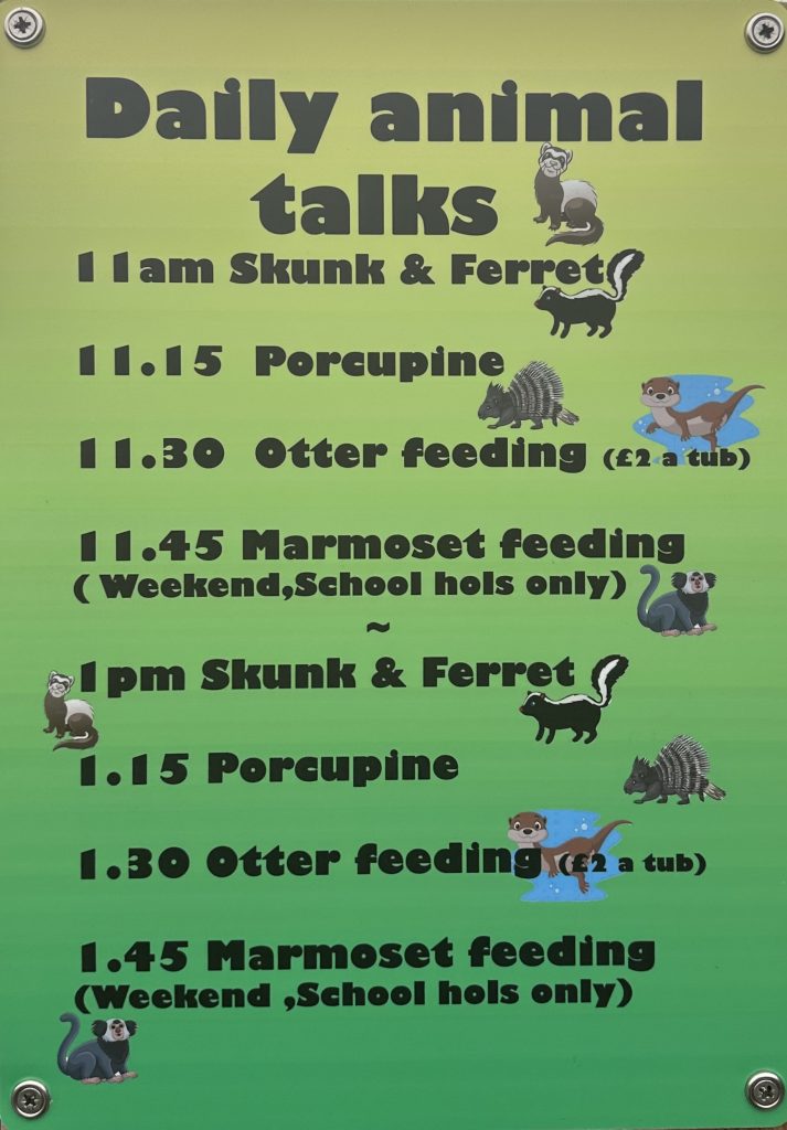 Daily Animal Talks And Feeding Timetable – MESSINGHAM ZOO